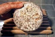 Tasting an Endangered Cheese in Piedmont | Italy Travel